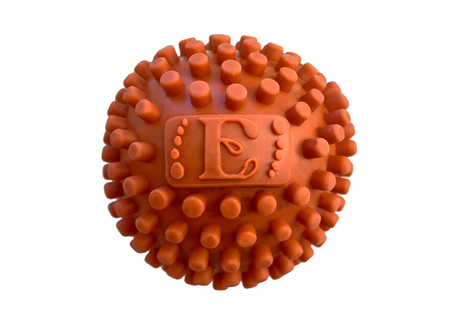 Foot Restoration Kit – Restore Natural Foot Health & Mobility | Earth ...